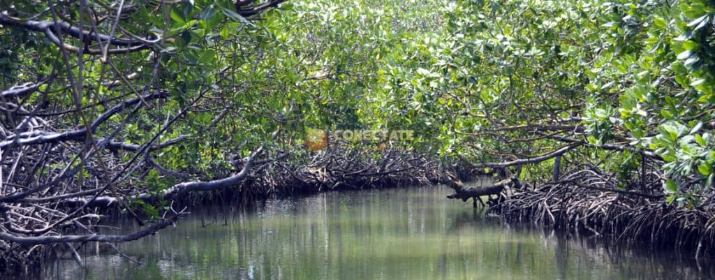 Lugares Turísticos para Visitar en República Dominicana
