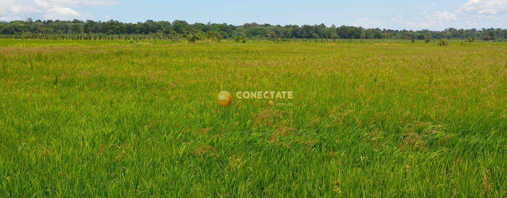 El Cibao | República Dominicana