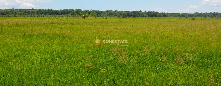 El Cibao | República Dominicana