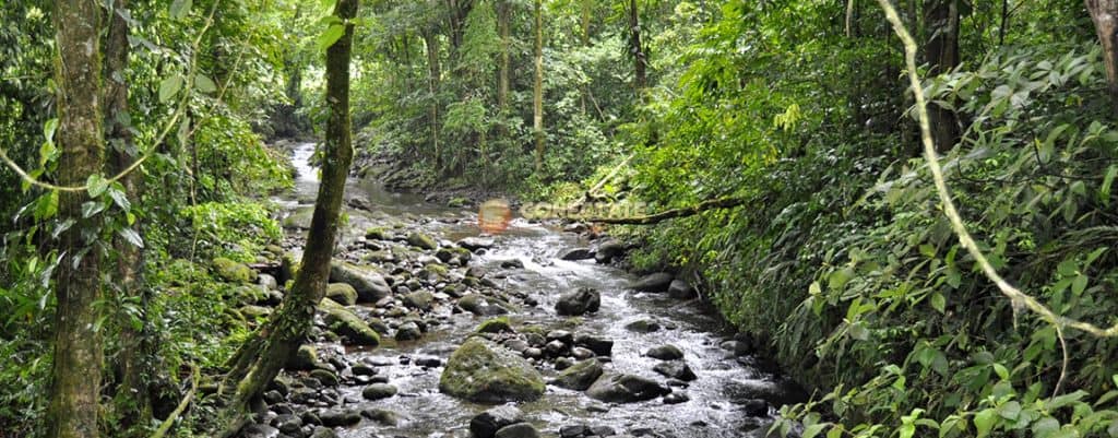 Lugares Turísticos para Visitar en Costa Rica
