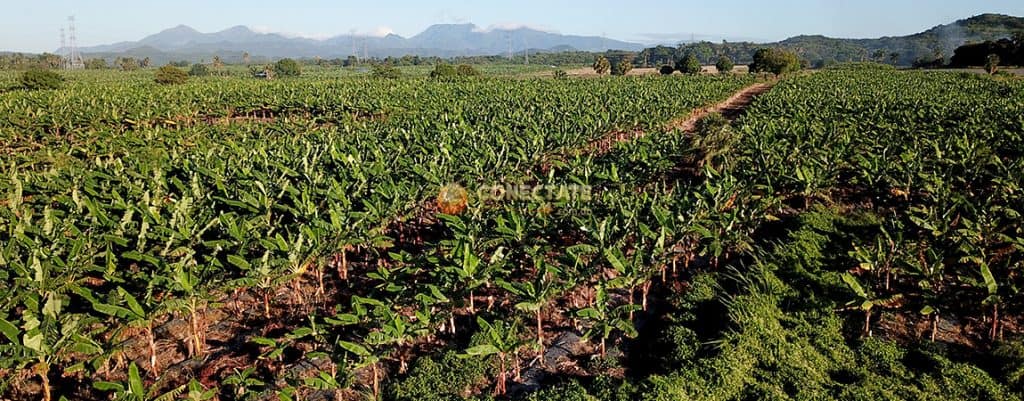 Lugares Turísticos | Peravia | República Dominicana