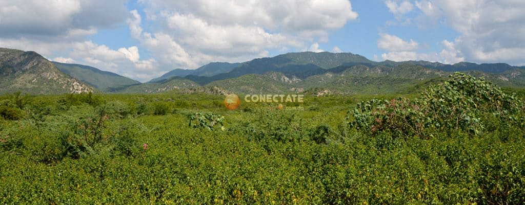 Lugares Turísticos | Provincia Azua | República Dominicana