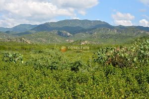 Lugares Turísticos | Provincia Azua | República Dominicana